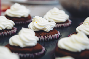 Kristi Gribble Web Developer Portfolio